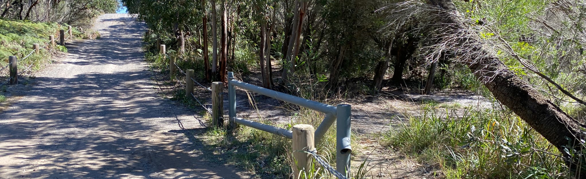 Fern Bay Stockton Trails: 2 Reviews, Map - New South Wales, Australia ...