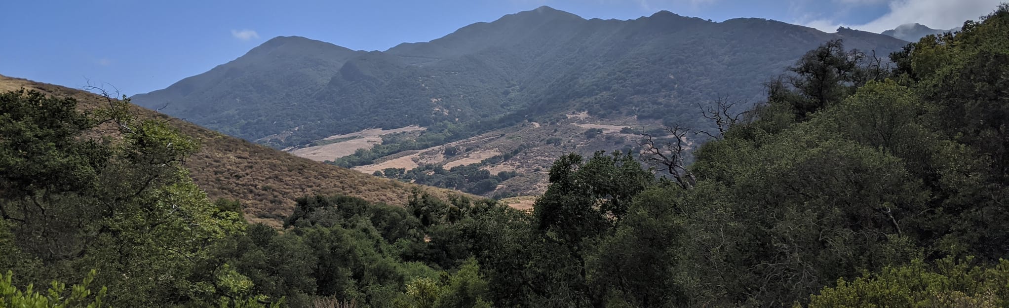Yucca Trail, California - 81 Reviews, Map | AllTrails