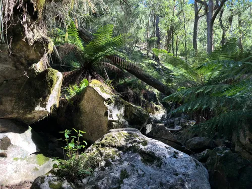 Best Hikes and Trails in Deua National Park | AllTrails