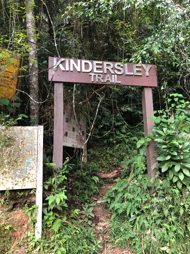 10 Best Trails and Hikes in Bukit Fraser | AllTrails