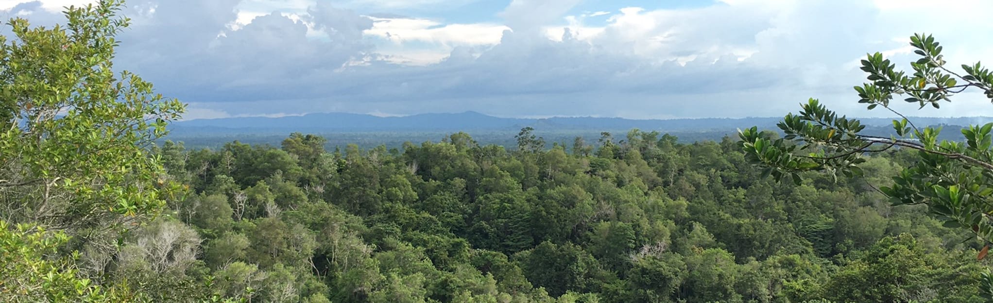 Bukit Dadap: 132 foto's - Brunei and Muara, Brunei | AllTrails