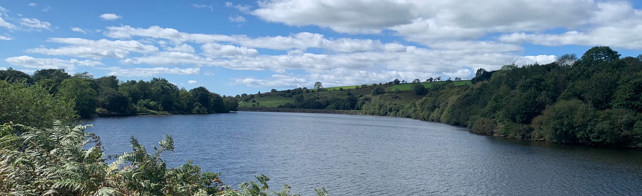 Lower Lilw Reservoir Circular: 16 Reviews, Map - Swansea, Wales | AllTrails