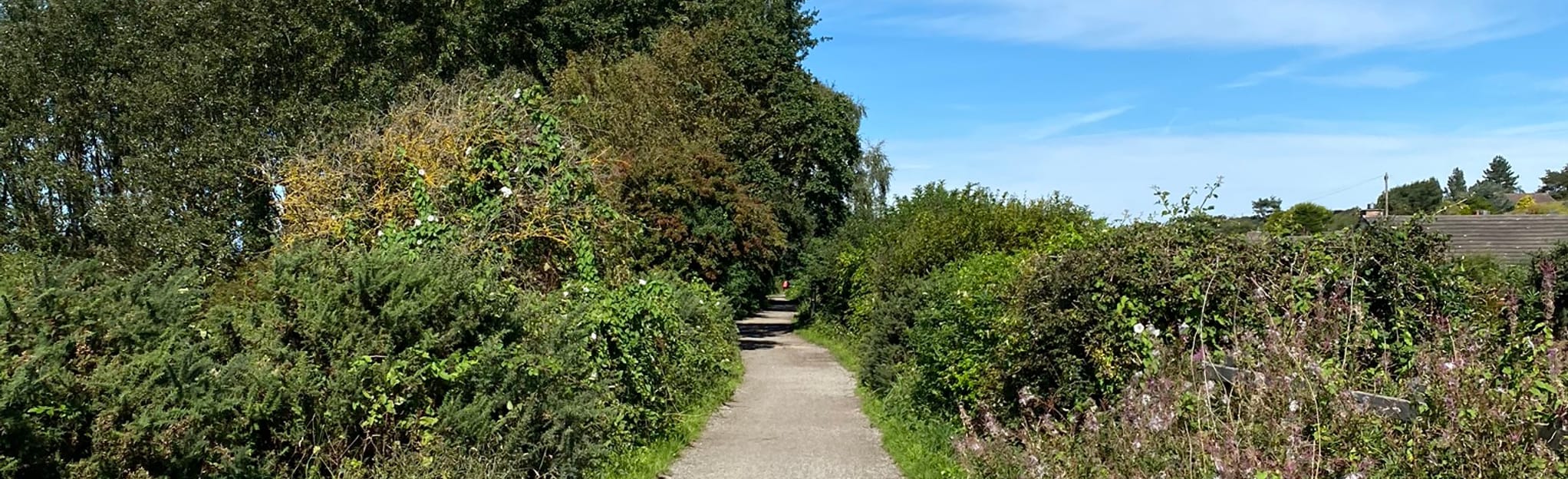 Wirral Way: Heswall to West Kirby, Merseyside, England - 39 Reviews ...