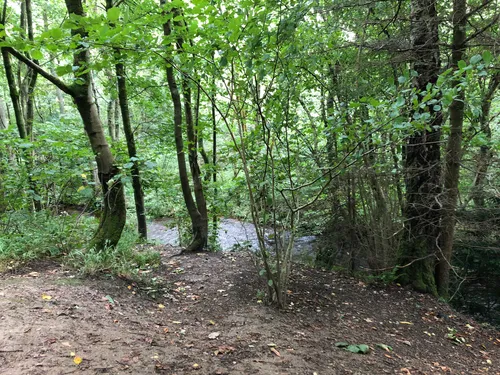 10 Best Walking Trails in Pickering | AllTrails