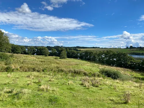 10 Best Forest Trails in Jelling | AllTrails