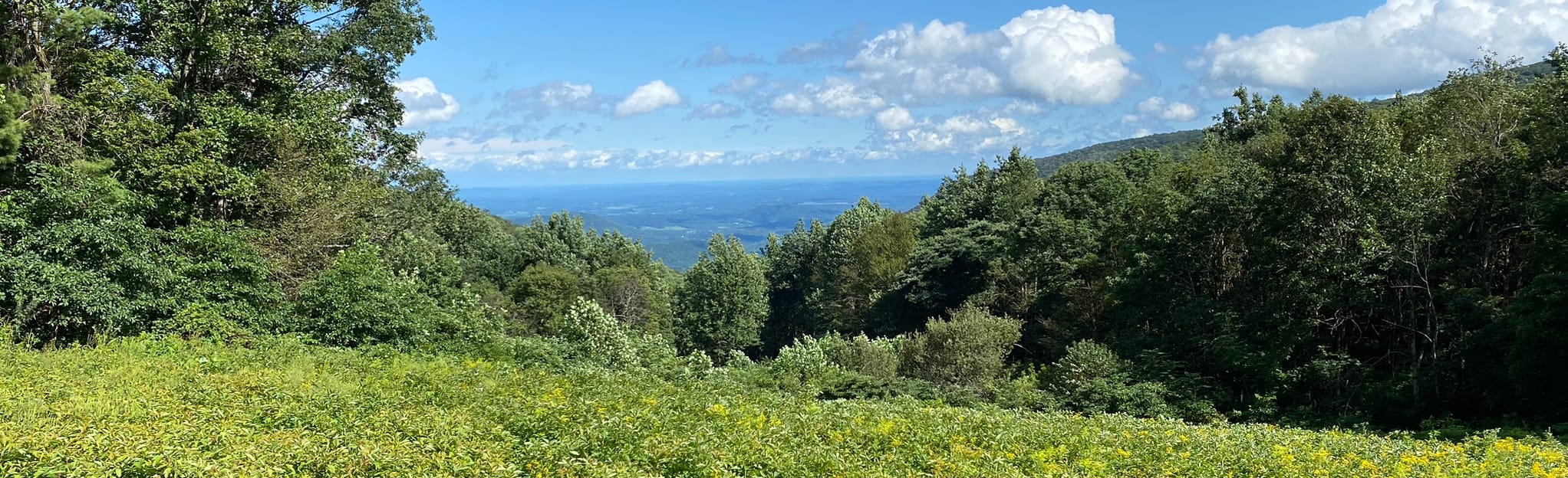 Skyline Drive: Thornton Gap to Swift Run Gap, 1.164 Fotos - Virginia ...