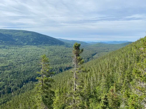 10 Best Hikes and Trails in Mount Carleton Provincial Park | AllTrails