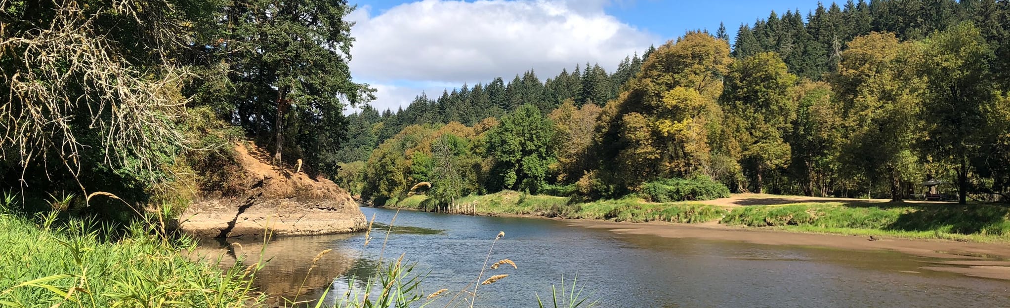Paradise Point State Park Loop, Washington - 203 Reviews, Map | AllTrails
