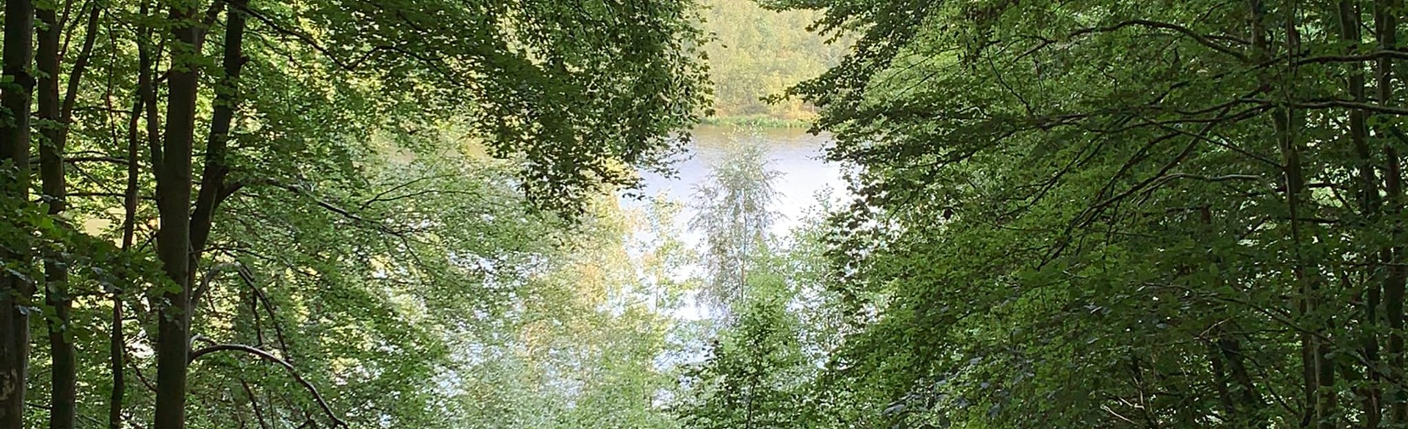 Loop in the Salem forests | Map, Guide - Schleswig-Holstein, Germany ...