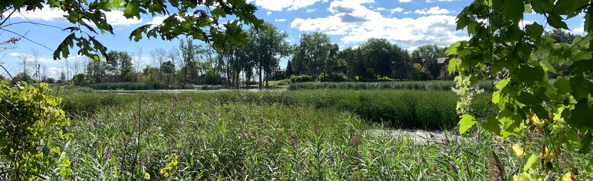 Rattray Marsh Conservation Area: 191 Reviews, Map - Ontario, Canada ...