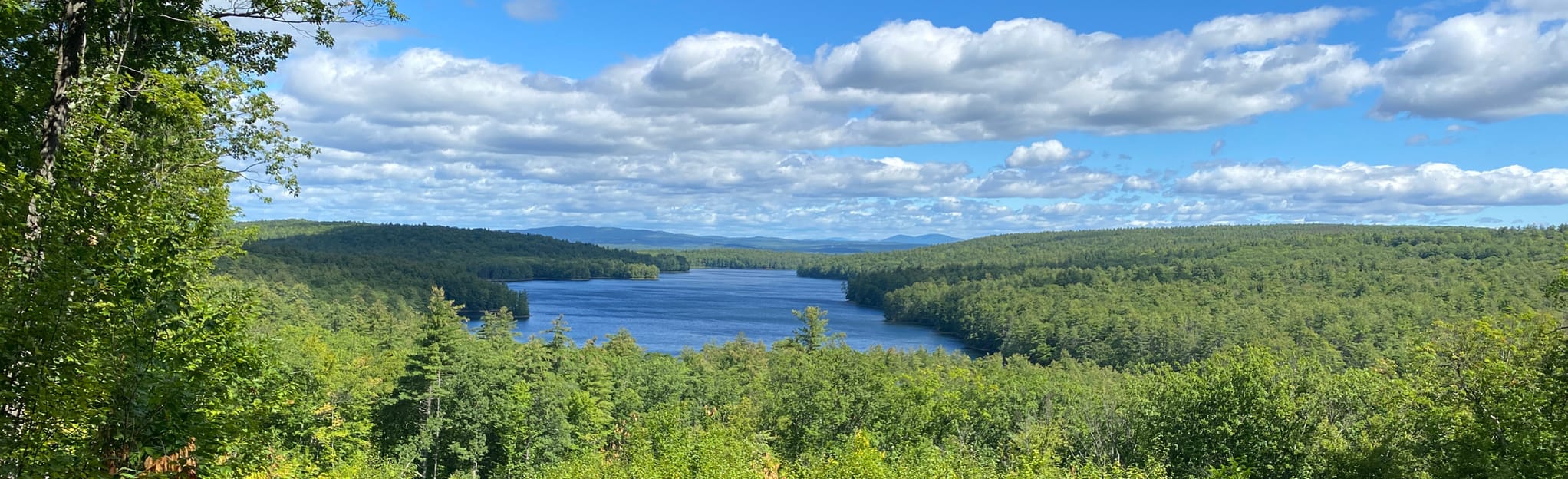 Swope Loop to Pine Hill: 94 Reviews, Map - New Hampshire | AllTrails