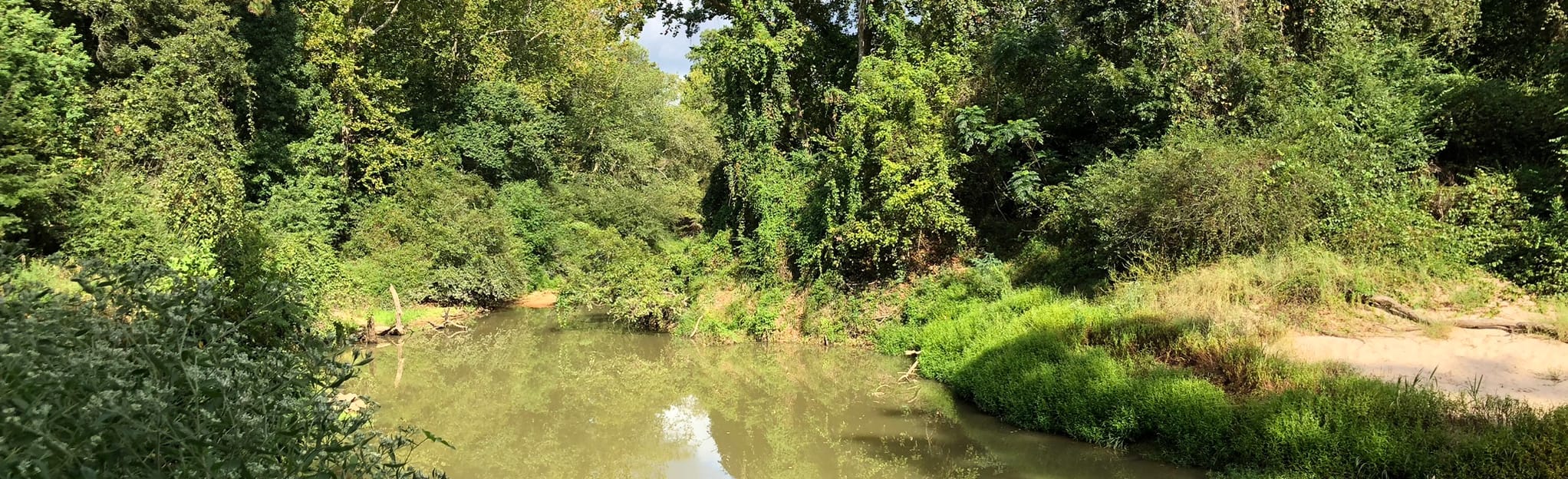 Burroughs Park Western Trail Loop: 140 Reviews, Map - Texas | AllTrails