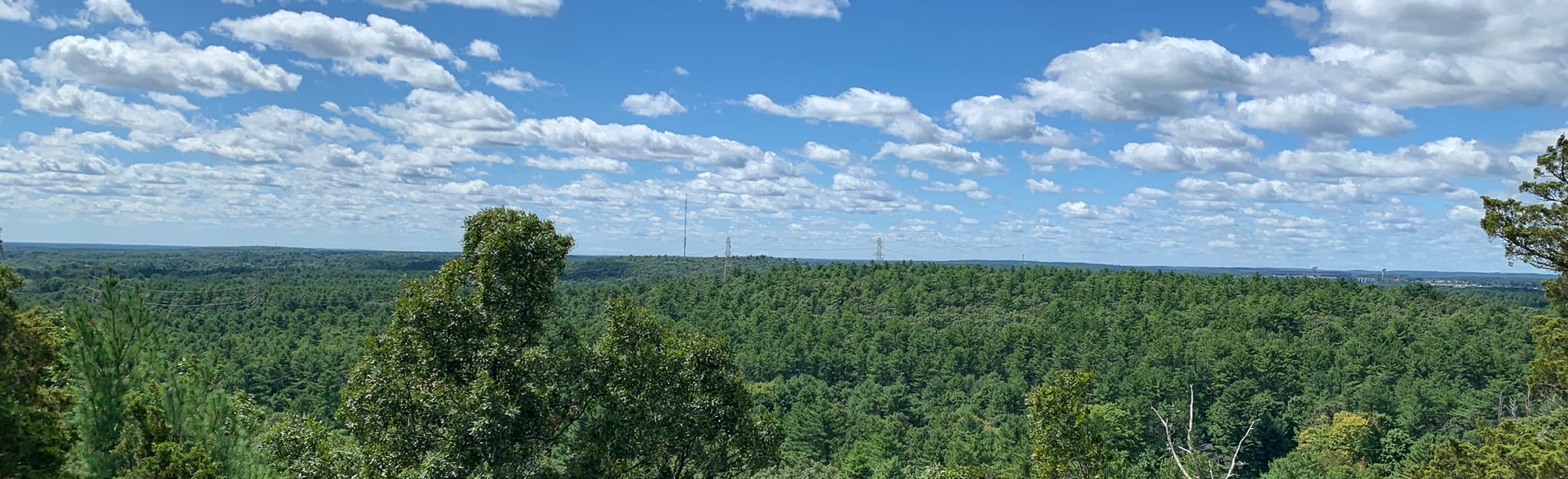 Moose Hill, Bay Circuit, Turkey, Bluff and Billings Loop: 1,263 Reviews ...