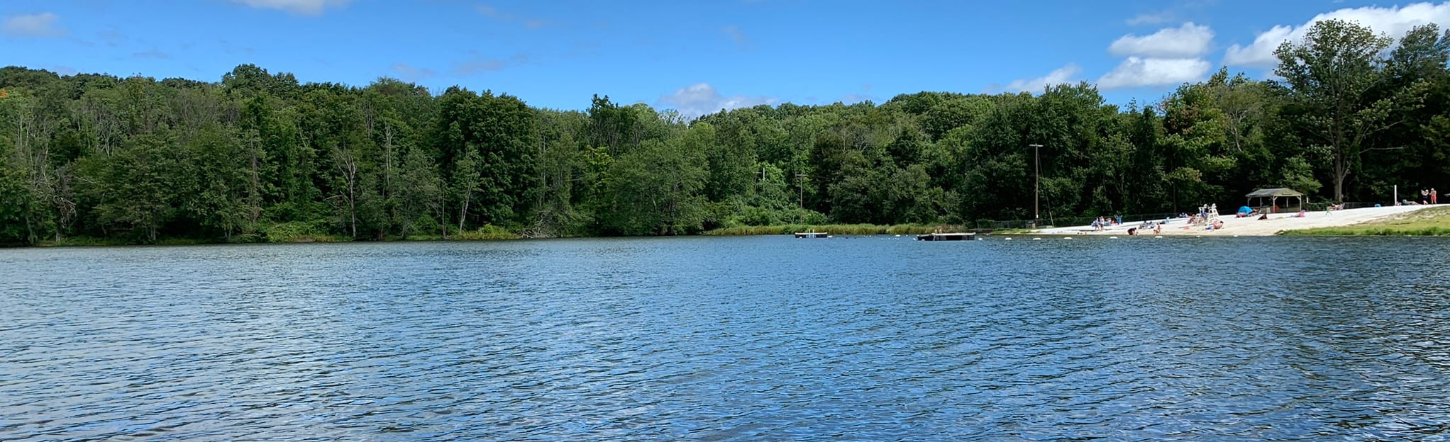 Mount Hope Pond, New Jersey - 34 Reviews, Map | AllTrails