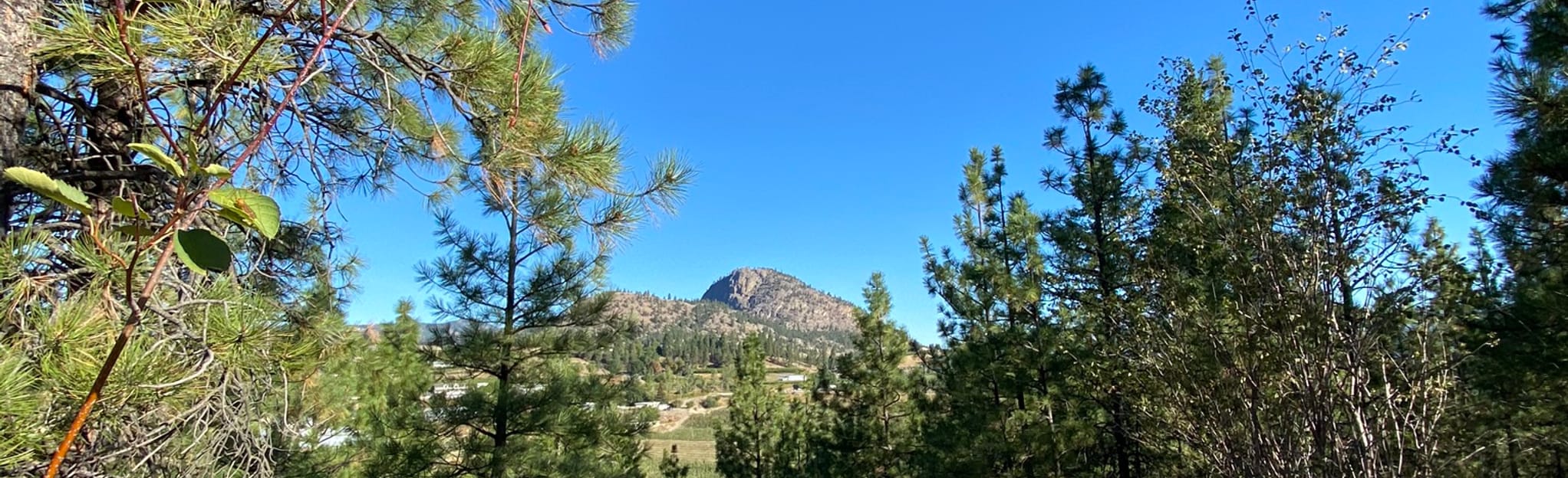 Trout Creek Trail: Prairie Valley to Canyon View: 10 Reviews, Map ...