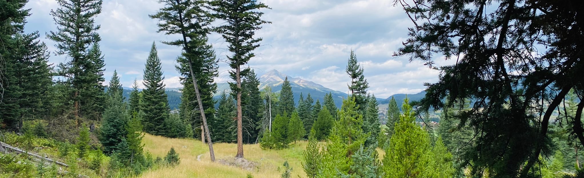 Hummocks Trail Loop, Montana - 104 Reviews, Map | AllTrails