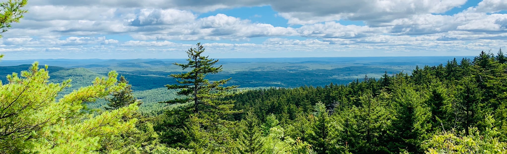 North Pack Monadnock via Wapack and Cliff Trail, New Hampshire - 261 ...