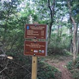 Hogback Mountain Trail, Pennsylvania - 25 Reviews, Map | AllTrails