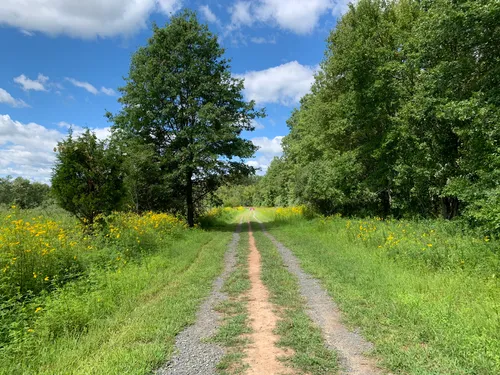 Best Hikes and Trails in Mercer Meadows | AllTrails