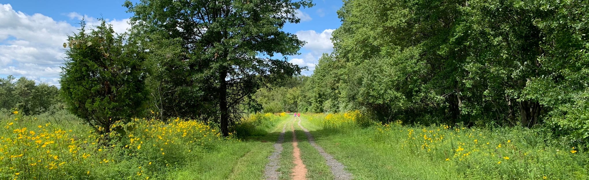 Lawrence Hopewell, Bryan Farm, Maidenhead Trails Loop, New Jersey - 206 ...