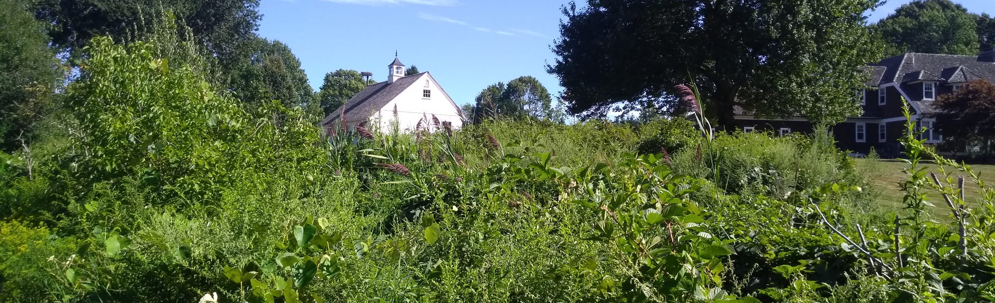 Canonchet Farm Trail, Rhode Island - 230 Reviews, Map | AllTrails