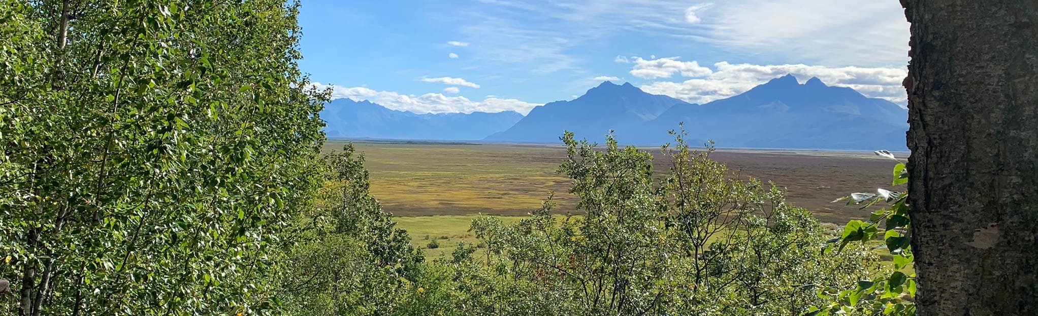 Scout Ridge Trail: 240 Reviews, Map - Alaska | AllTrails