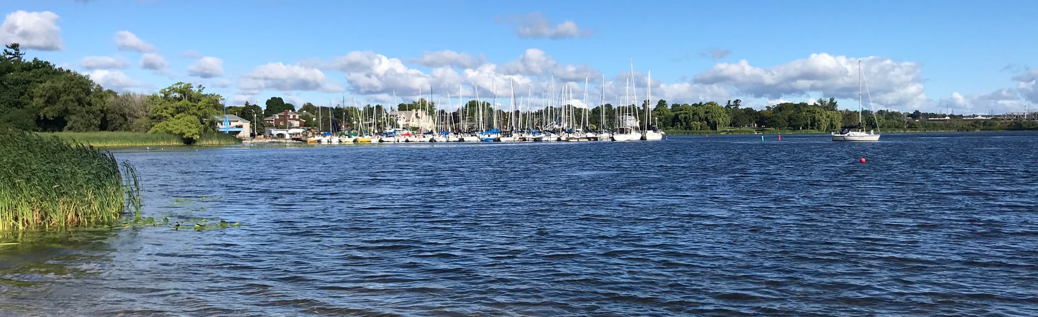 Beachpoint Promenade Trail: 64 Reviews, Map - Ontario, Canada | AllTrails