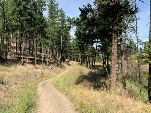 Best Easy Trails in Kenna Cartwright Nature Park | AllTrails