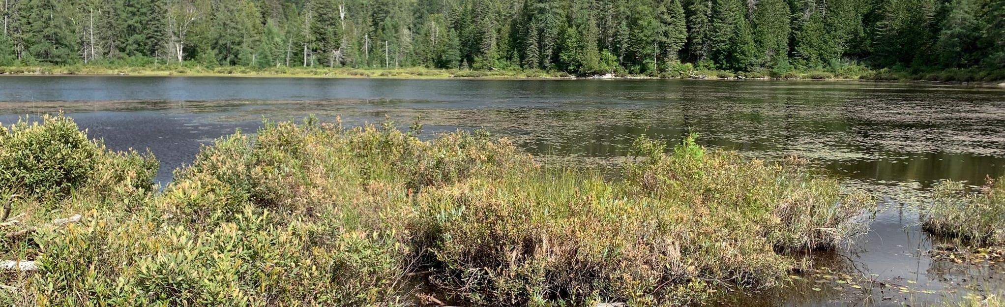 Forêt Ouareau Lac à Prud'Homme Mont Grand Corbeau : 515 Photos - Québec ...