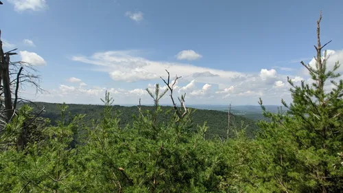 10 Best Hikes and Trails in Cohutta Wildlife Management Area | AllTrails