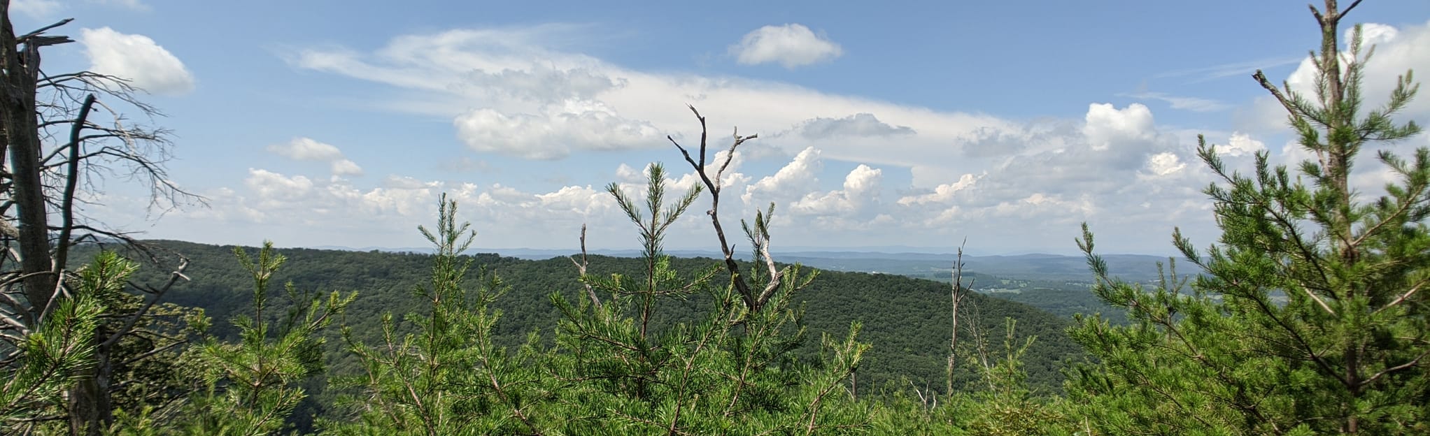 Pinhoti Trail: GA 136 to Mill Creek Mountain: 134 Reviews, Map ...