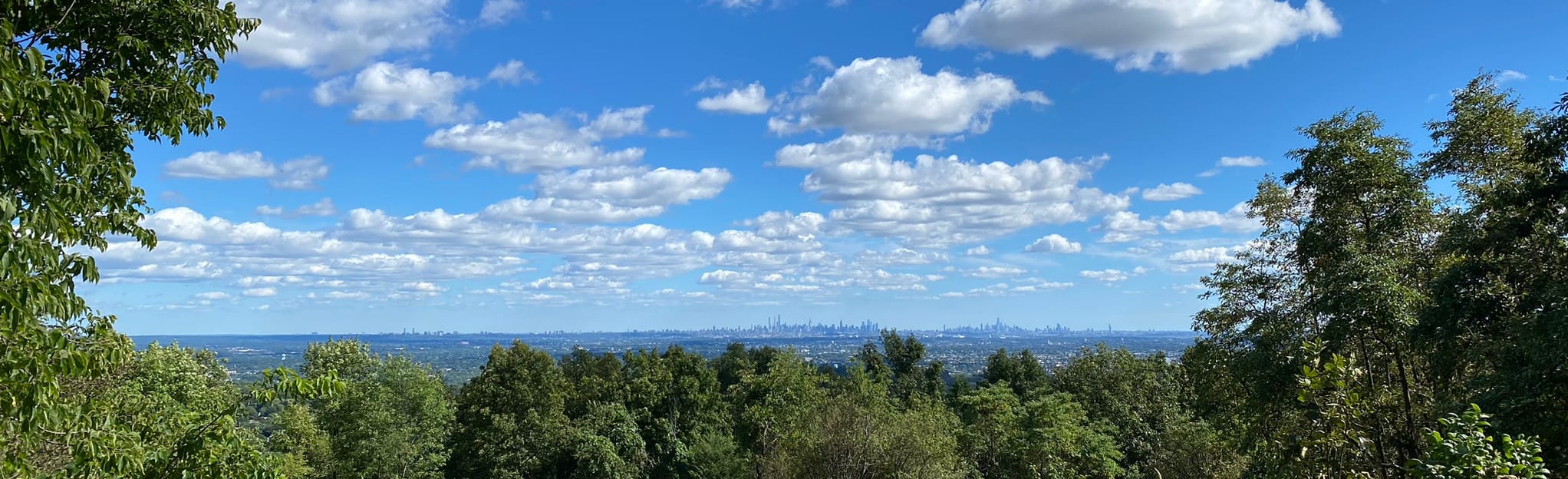 High Mountain Summit Loop: 824 Reviews, Map - New Jersey | AllTrails