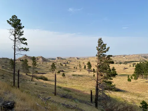 Best Hikes and Trails in Chadron State Park | AllTrails