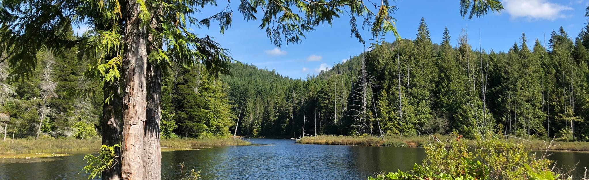 Grass Lake and Sheilds Lake via Harrison Trail, British Columbia ...
