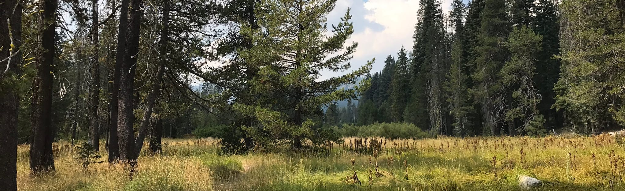 Drake Lake Trail: 8 Reviews, Map - California | AllTrails