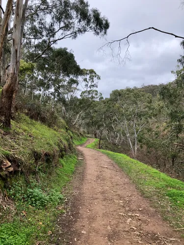 10 Best Trails and Hikes in Adelaide | AllTrails