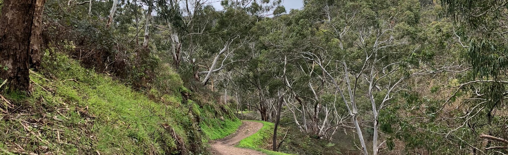 Chambers Gully, Kilto, Bartil Spur and Gunbower Loop: 251 foto ...
