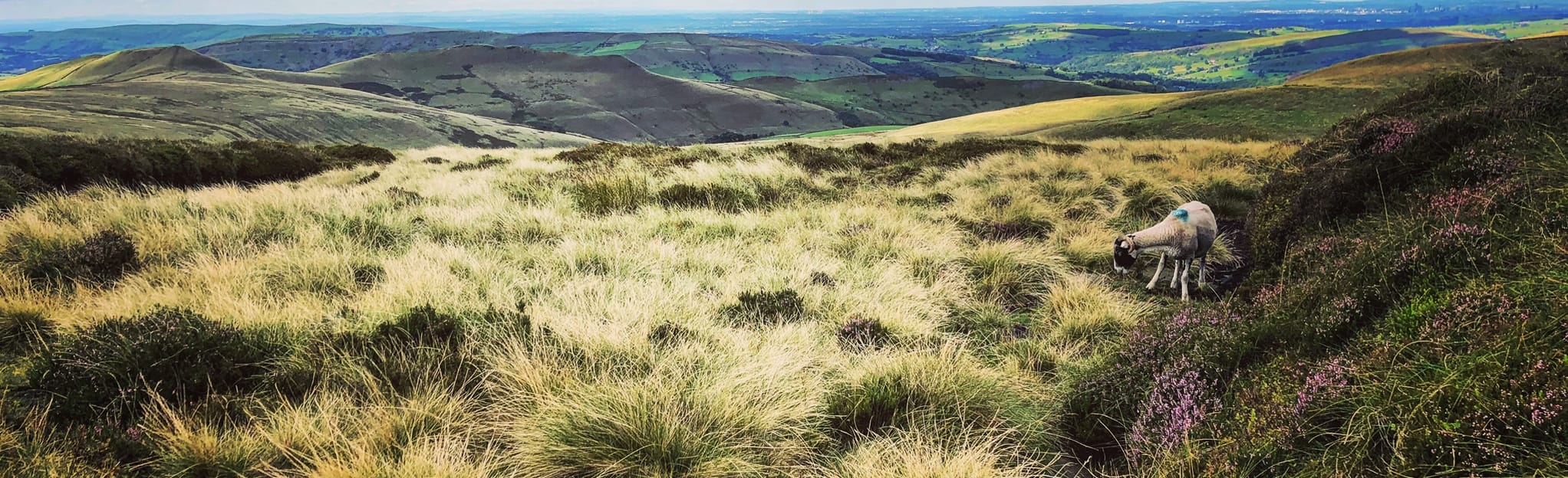 Edale Cross and Jacob's Ladder Circular, Derbyshire, England - 71 ...