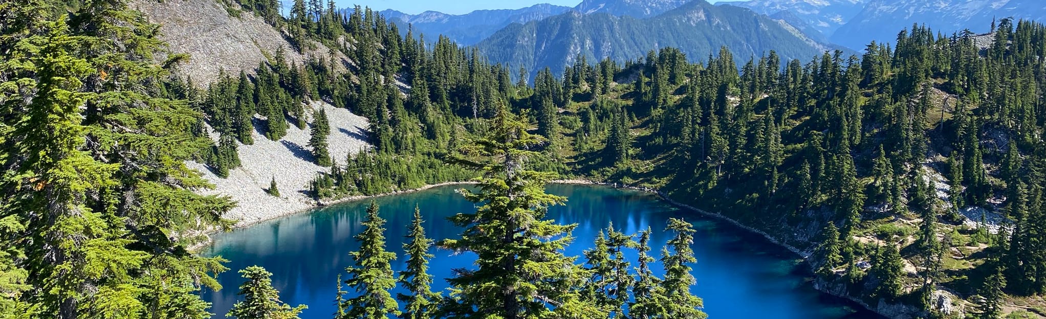 Mount Roosevelt Scramble via Snow Lake Trail - Washington | AllTrails