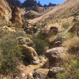 Timber Gulch, Oregon - 61 Reviews, Map | AllTrails