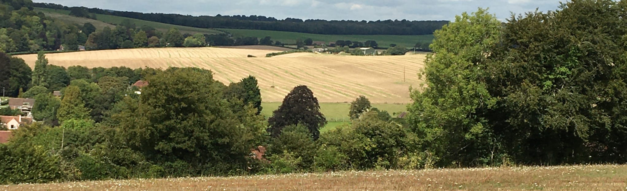 AllTrails | Denmead and Hambledon via The Old Forge Tea Room Circular ...