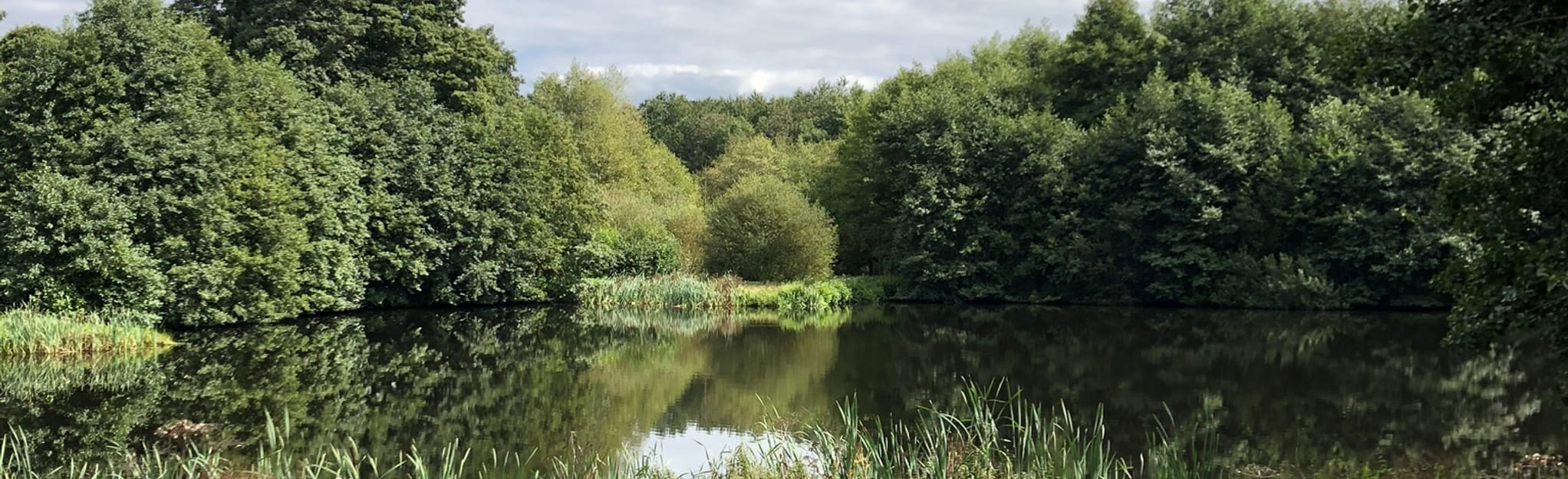 Abinger Hammer Clock and Paddington Farm, Surrey, England - 32 Reviews ...