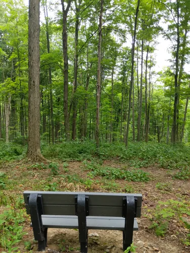 Best Hikes and Trails in Groton Park | AllTrails