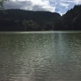 Alice Lake Loop , British Columbia, Canada - 208 Reviews, Map | AllTrails