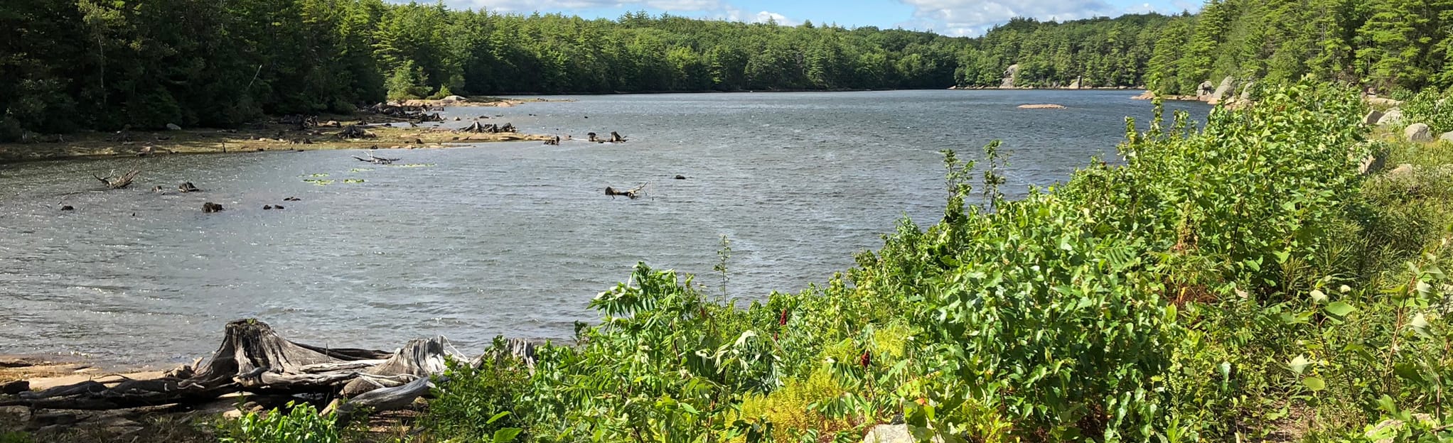 YKWD Orange, Green, and White Trail: 27 Reviews, Map - Maine | AllTrails