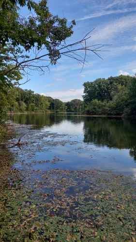 Best Hikes and Trails in Jim Edgar Panther Creek State Fish and ...