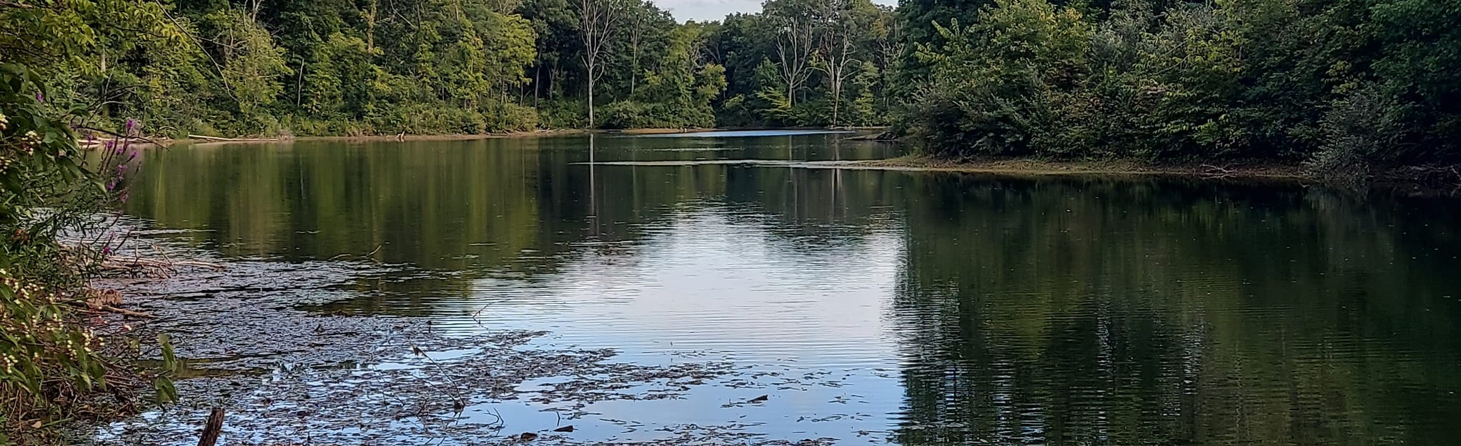 Drake Lake Trail: 54 Reviews, Map - Illinois | AllTrails