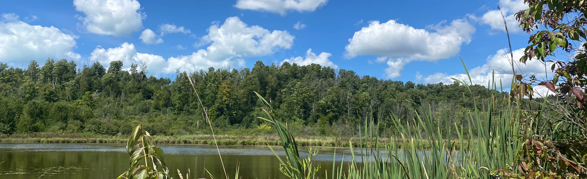 Maitland Trail: Saltford Road - Benmiller Line: 194 Fotos - Ontario ...