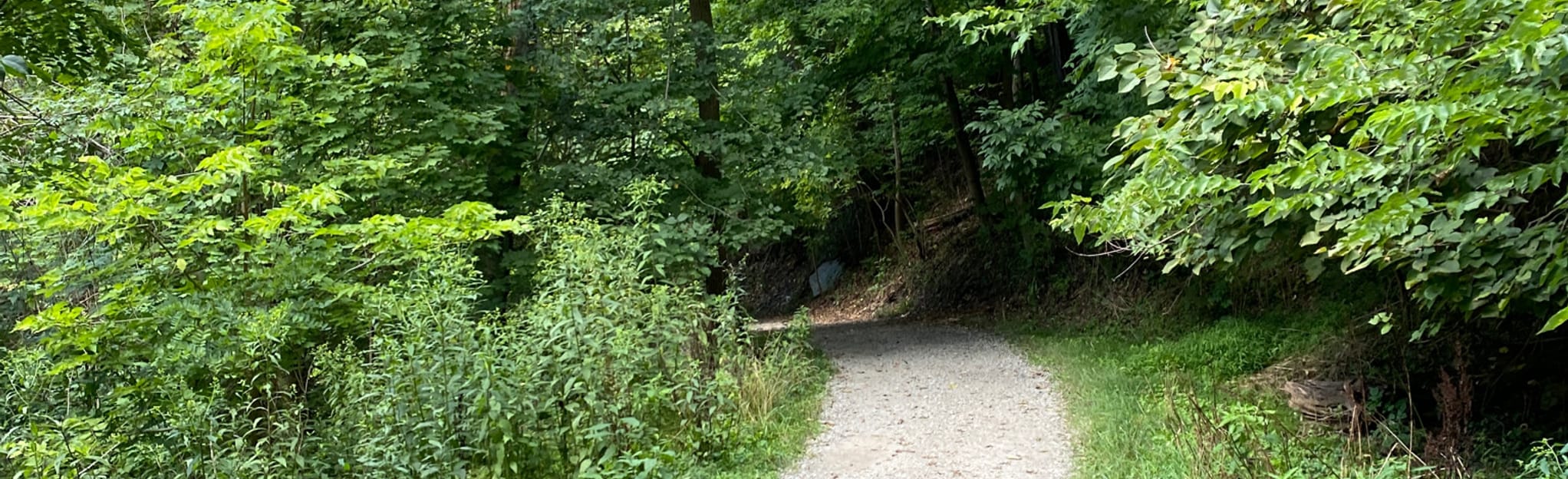 Frick Park West Rim Wander: 150 Reviews, Map - Pennsylvania | AllTrails