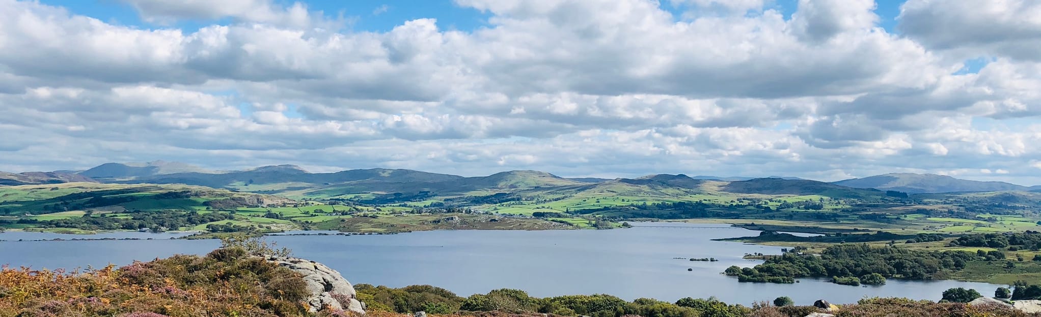 Llyn Trawsfynydd Circular, Gwynedd, Wales - 146 Reviews, Map | AllTrails